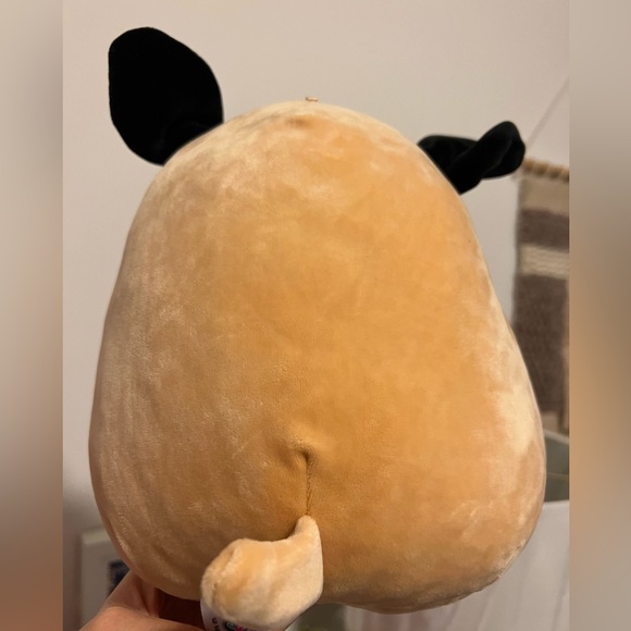 Squishmallows | Accessories | Squishmallows Prince The Pug 8 Stuffed ...